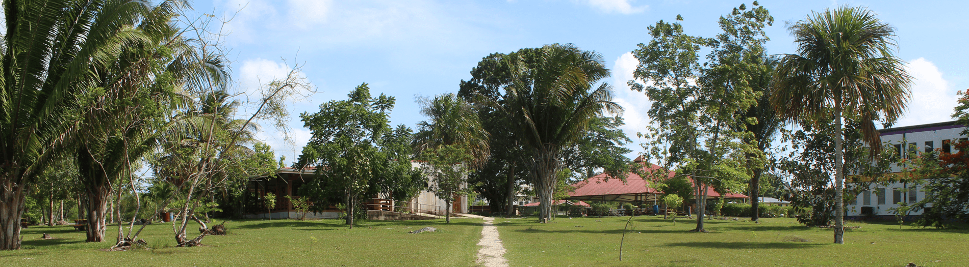 Home | University of Belize